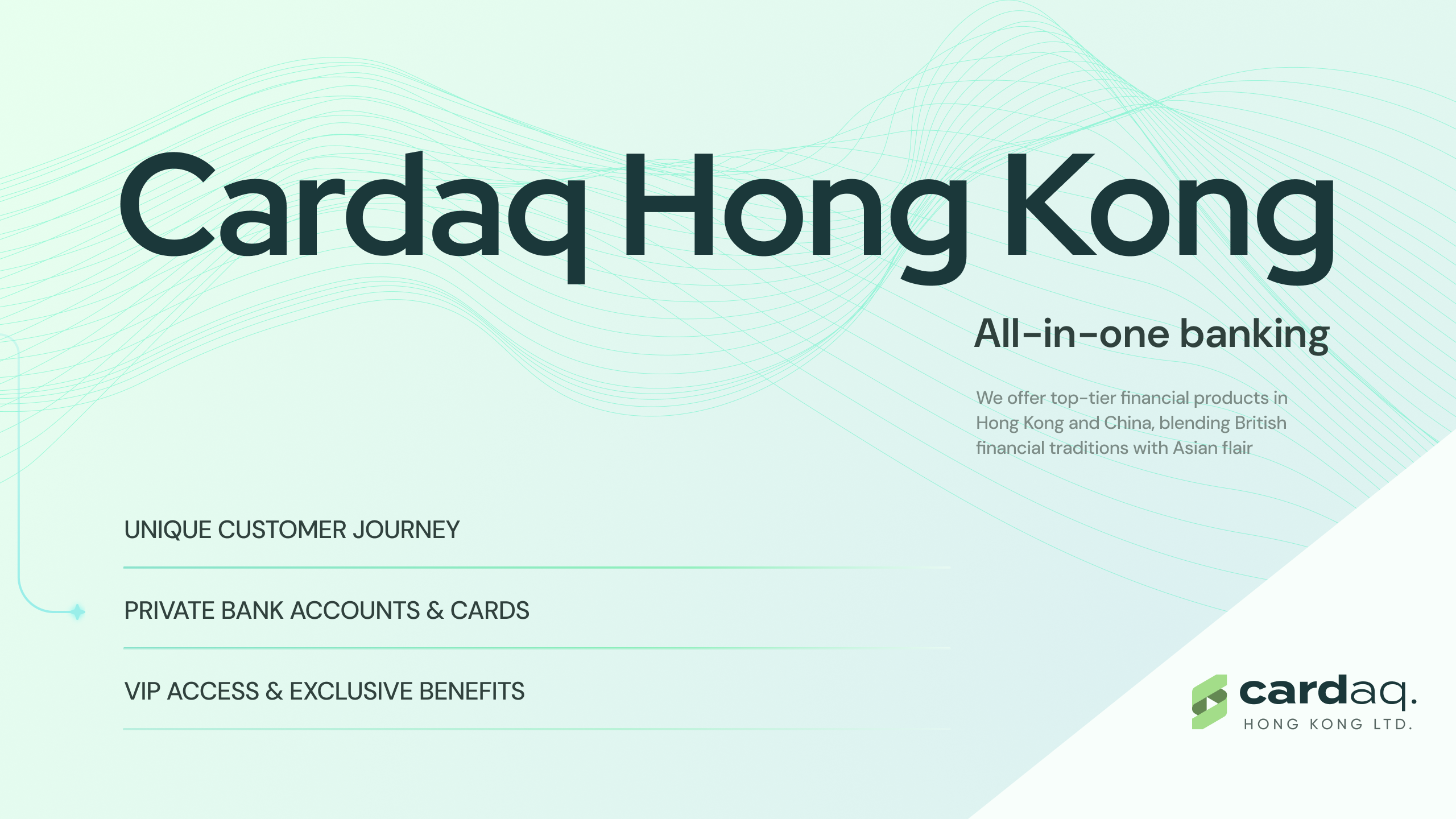 Understanding Chargebacks: Cardaq’s Management Solution